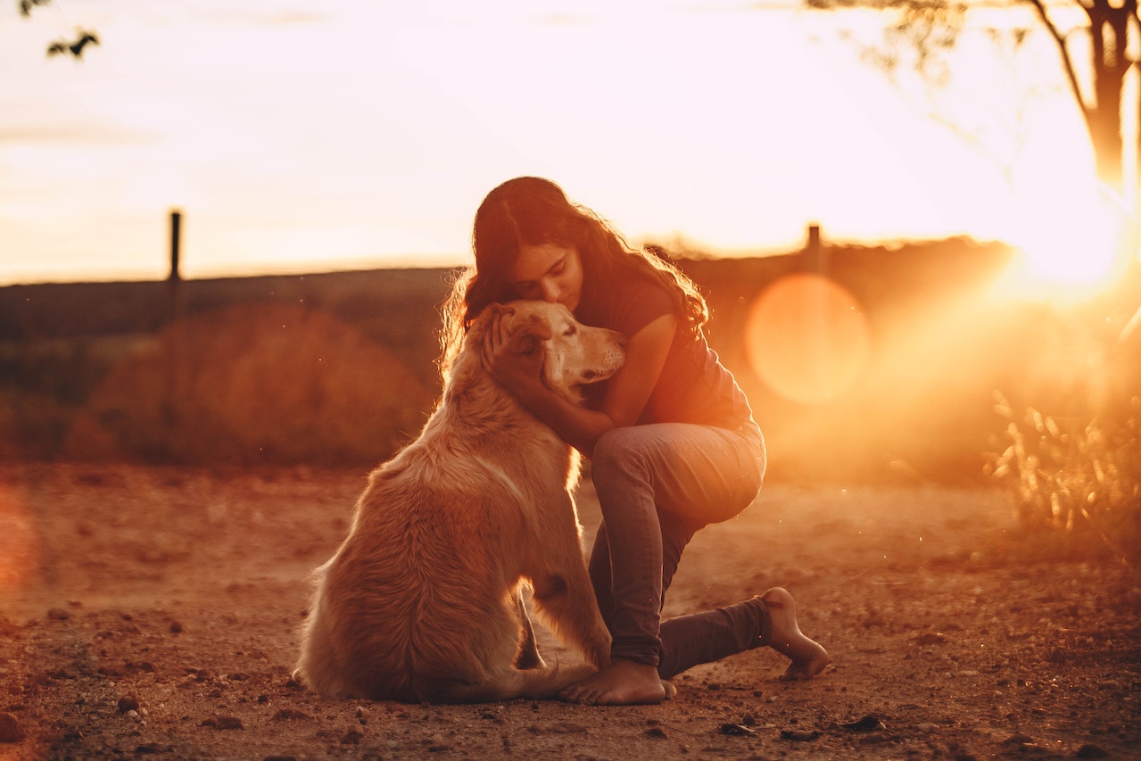 Power of Pet Companionship: How Do They Provide Comfort and Support ...